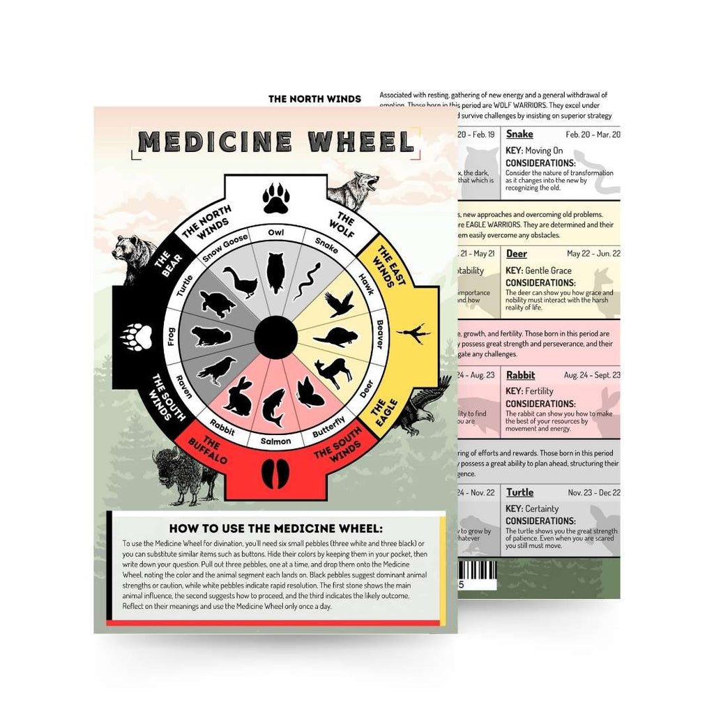 QuickStudy Guide 2.0 - Medicine Wheel (PDF File) – Stonebridge Imports