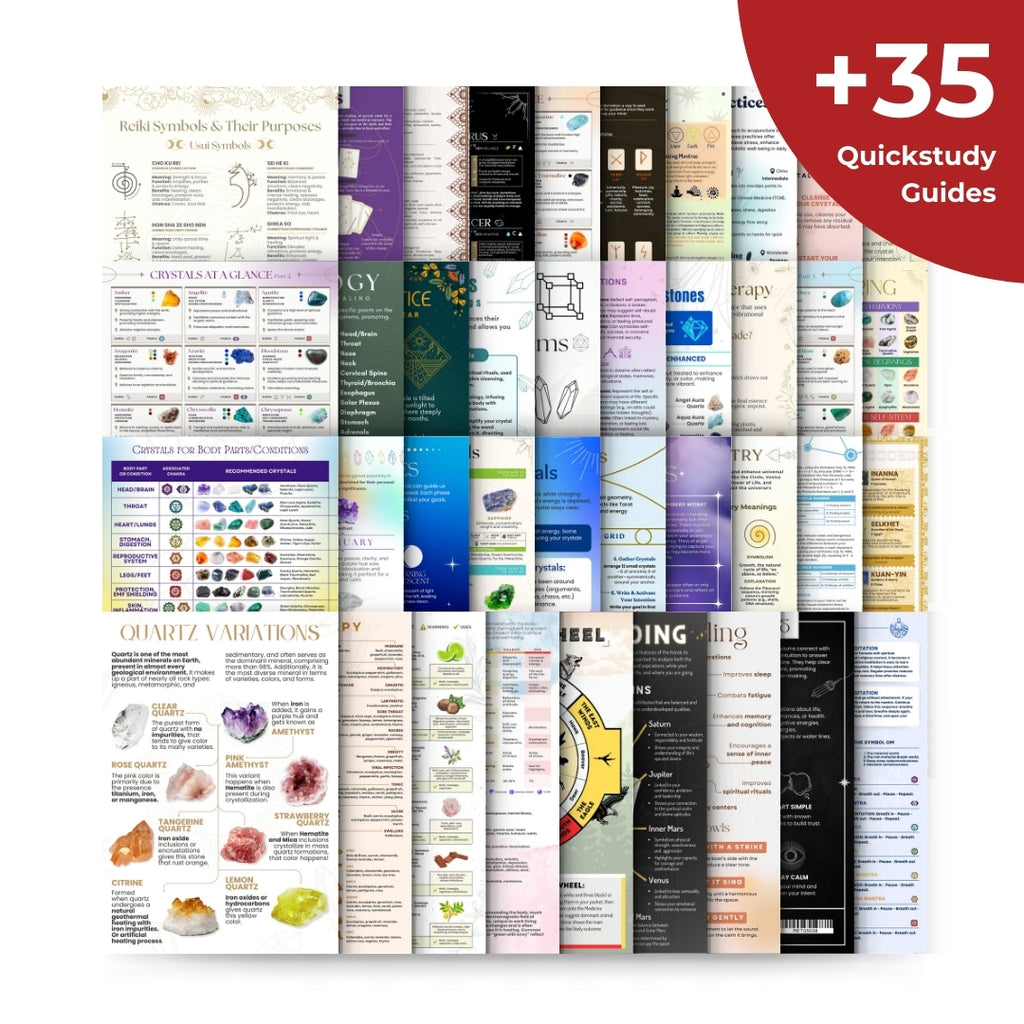 QuickStudy Guide 2.0 - Complete Bundle (Hardcopy, 1x of each ...