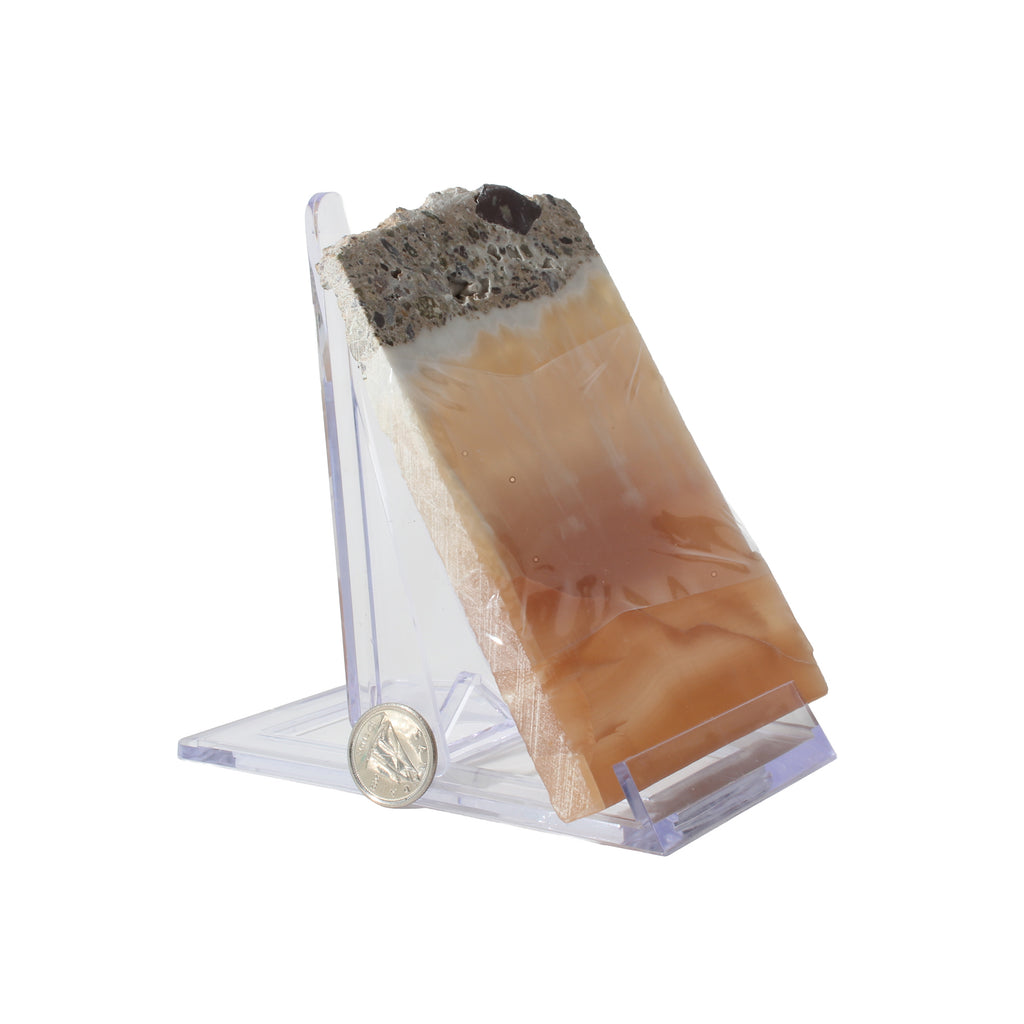 Plastic Adjustable Display Stand - 10" - 5 Pack – Stonebridge Imports