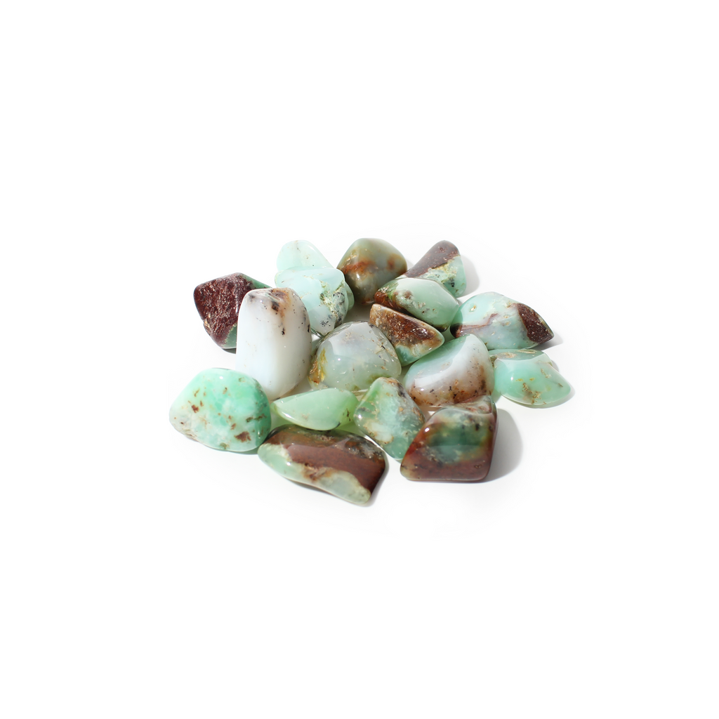 Chrysoprase A Tumbled Stones - Australia – Stonebridge Imports
