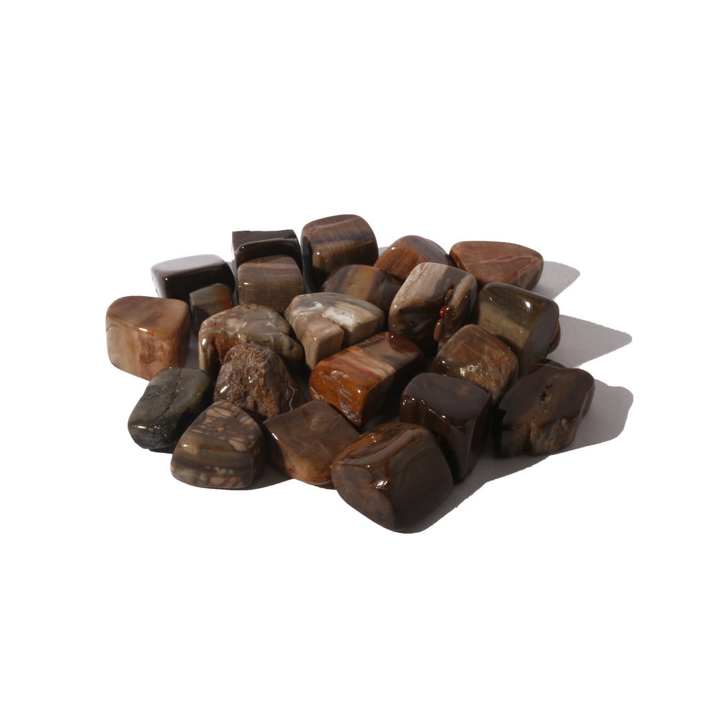 Petrified Wood Tumbled Stones – Stonebridge Imports
